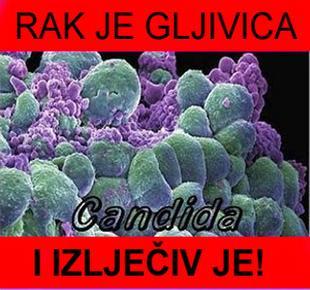 Candida i Rak - Transformacija Svijesti